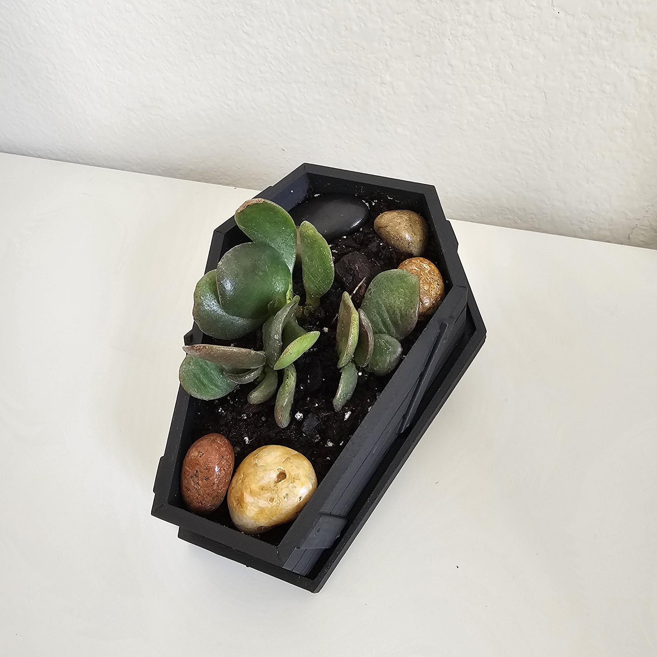 3D Printed Coffin Planter With Lid: Gothic Home Decor & Storage - Etsy
