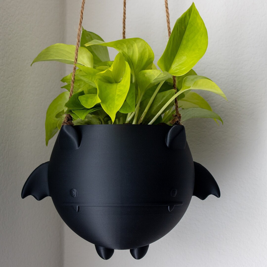 Bat Hanging Planter Pot Hanging Kit Included Flying Bat Succulent ...