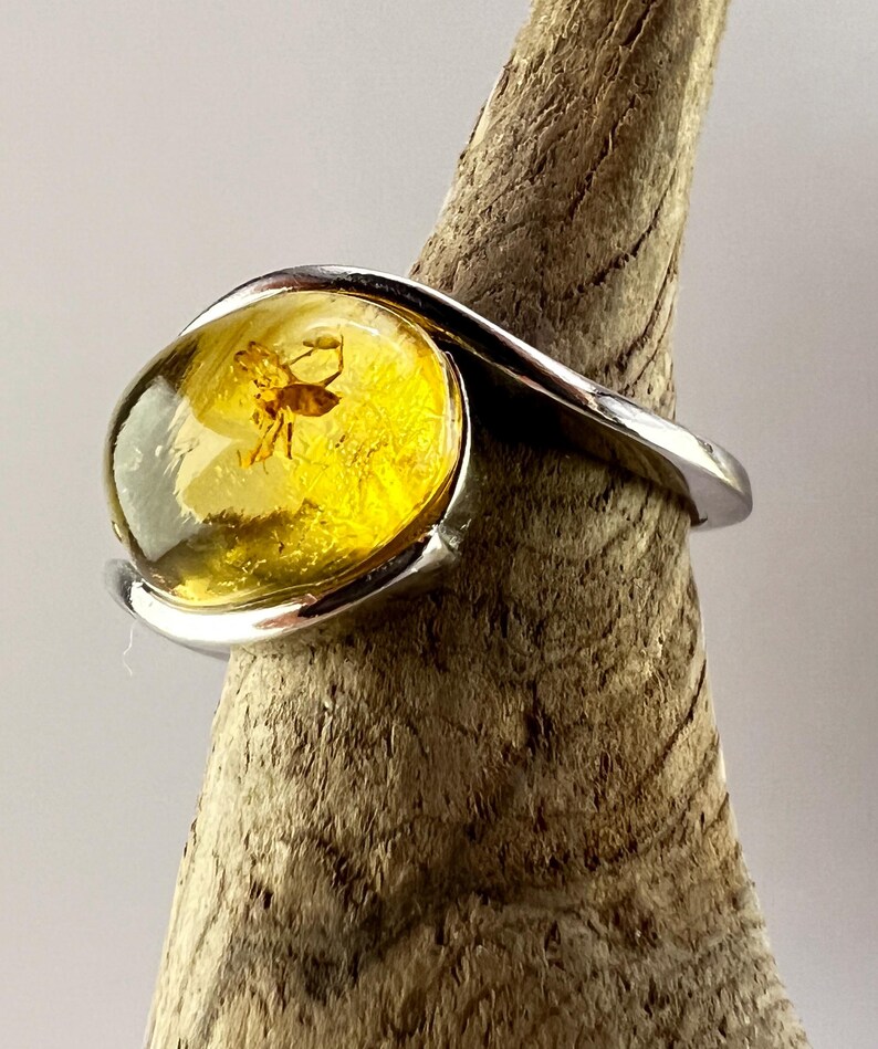 Amber Ring: Spider From the Age of Dinosaurs - Etsy
