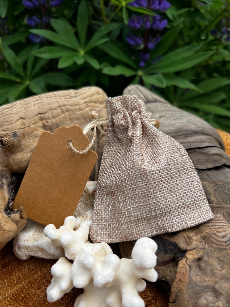 Real Tick: Burmite Amber Inclusion From the Age of the Dinosaurs - Etsy