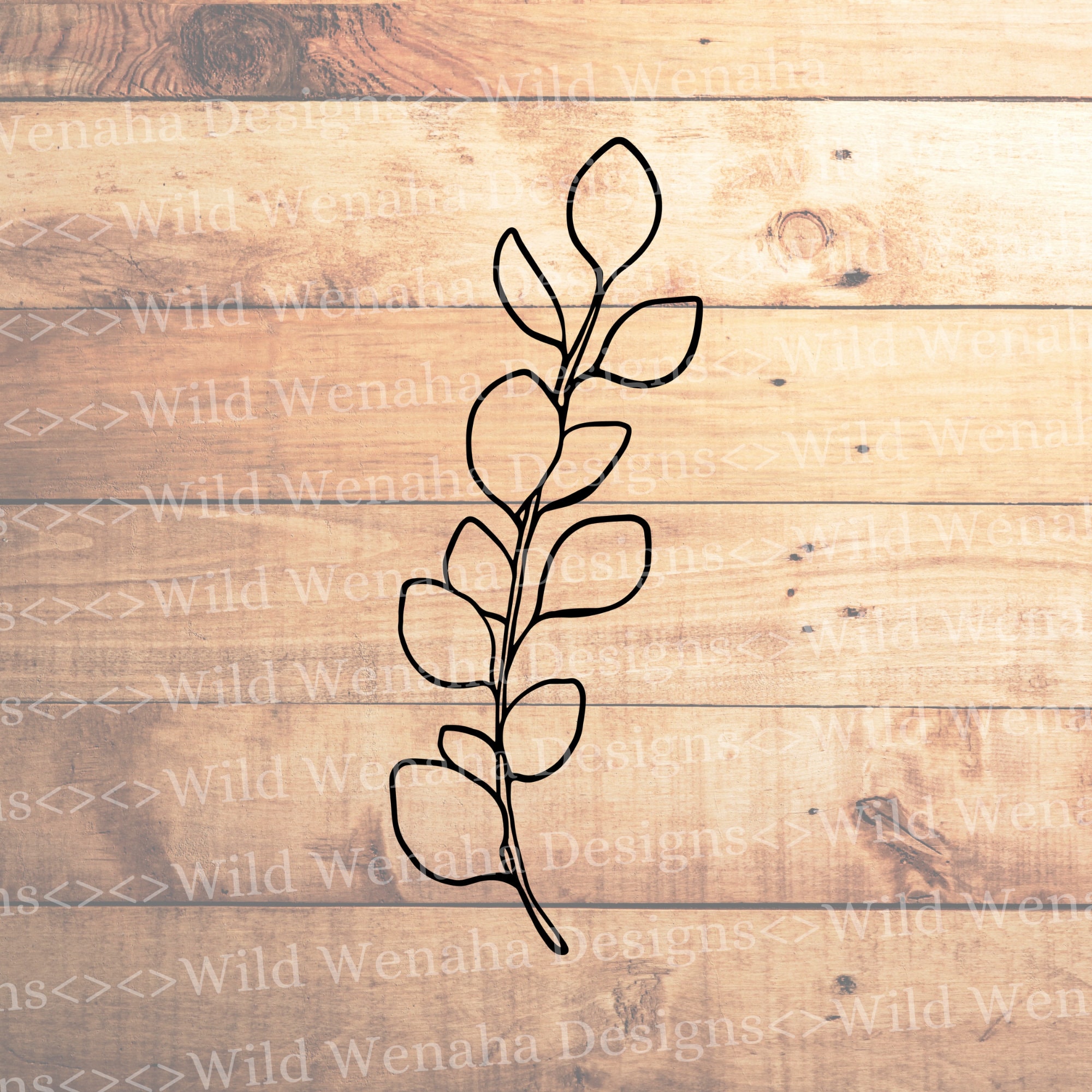 Frame Svg Botanical Borders Bundle Eucalyptus Frame Png Floral Border ...