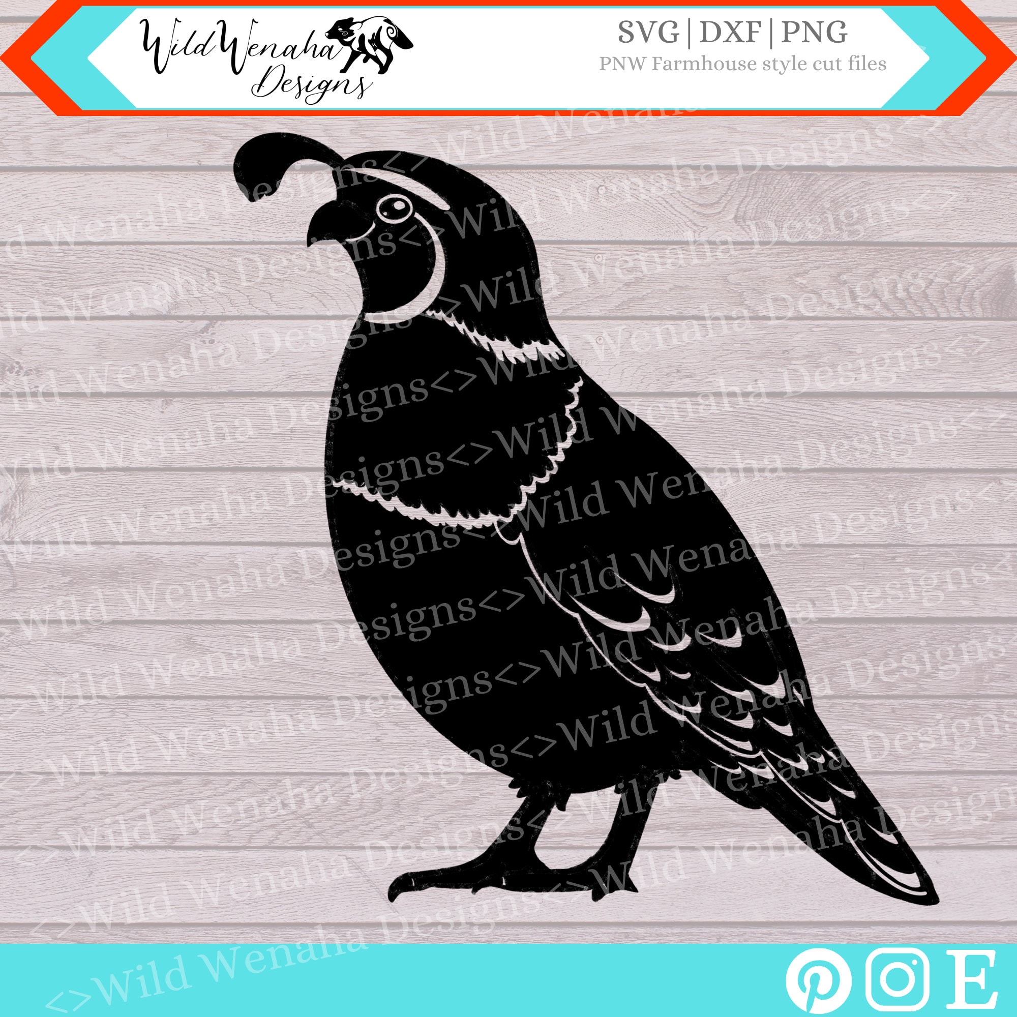 Quail Clipart- SVG - PNG - DXF - California Quail - Clipart - Quail ...