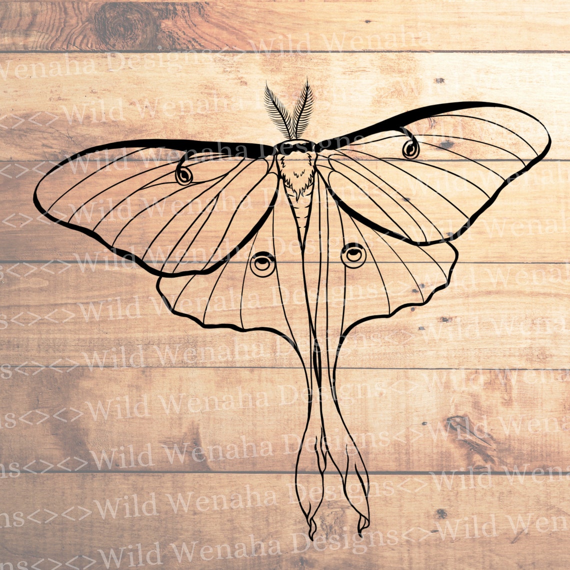 Luna Moth Svg - Moth Png - Boho Svg - Boho Moth Png - Magical Svg ...