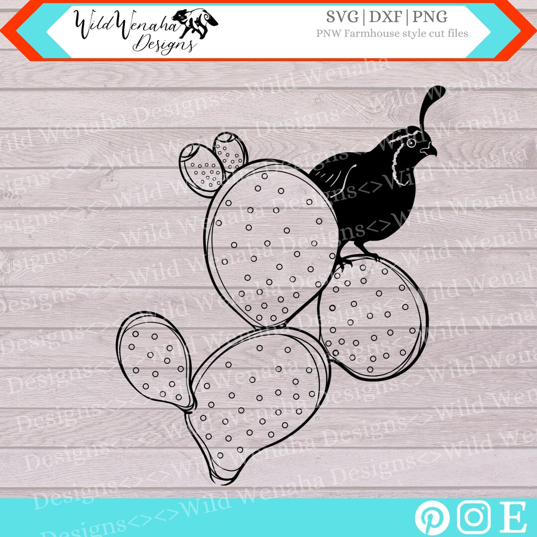 Quail & Cactus SVG - PNG - DXF - California Quail - Clipart - Quail ...