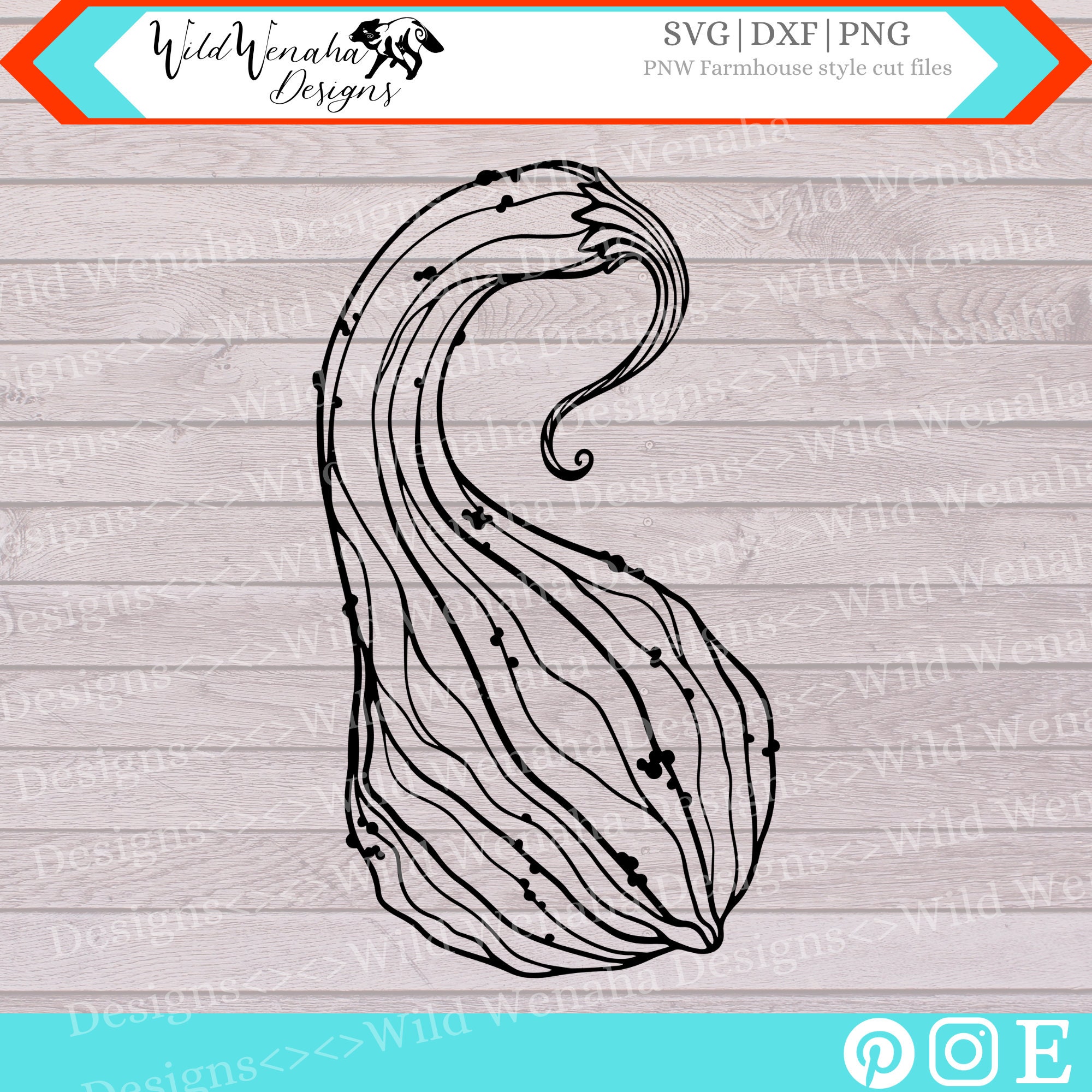 Gourd Squash SVG- Gourd Png- Autumn PNG - Squash PNG- Fall Png - Autumn ...