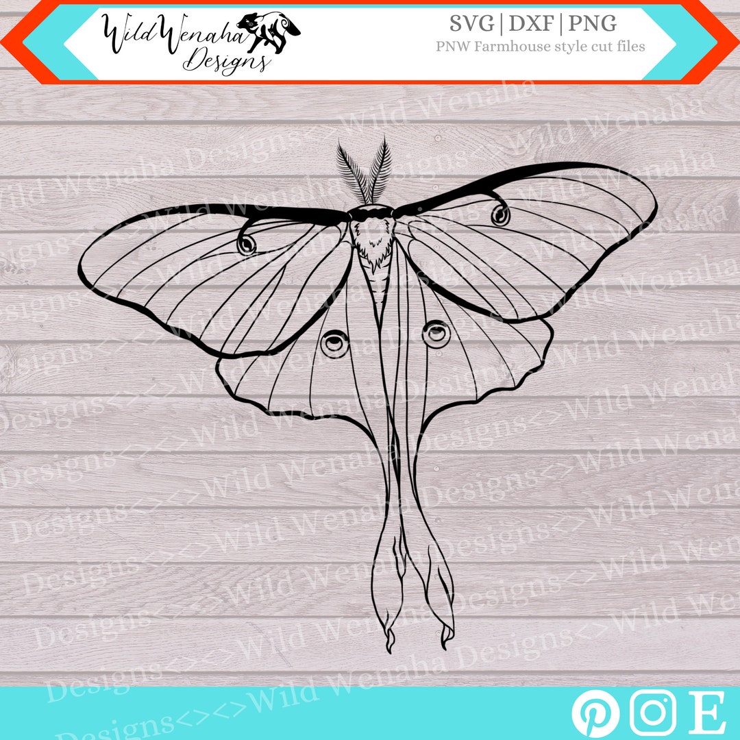 Luna Moth Svg - Moth Png - Boho Svg - Boho Moth Png - Magical Svg ...