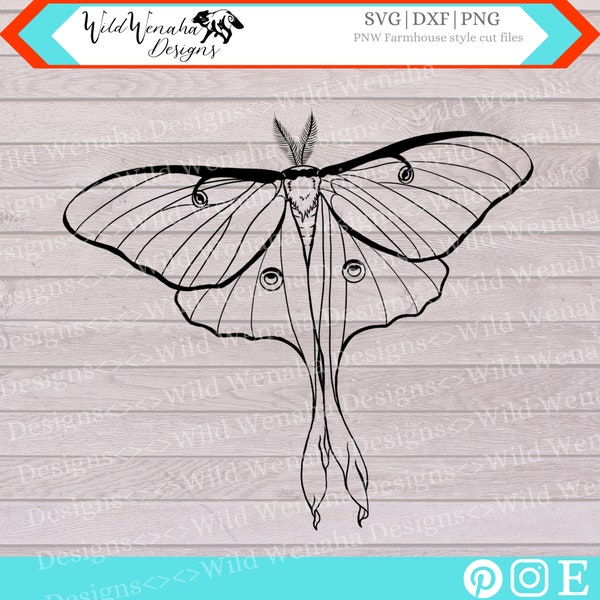 Gothic Moth Svg - Etsy