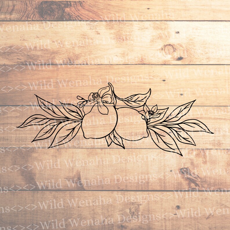 Frame Svg Botanical Borders Bundle Eucalyptus Frame Png Floral Border ...