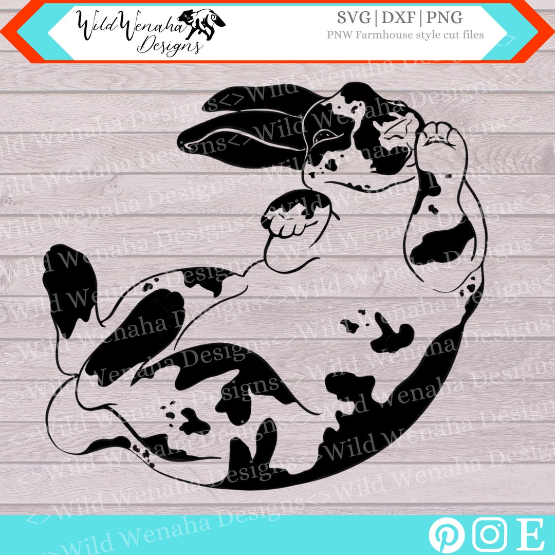 Hase SVG Hase Png Ostern SVG Spotted Bunny Png SVG/PNG/DXF sofortiger ...