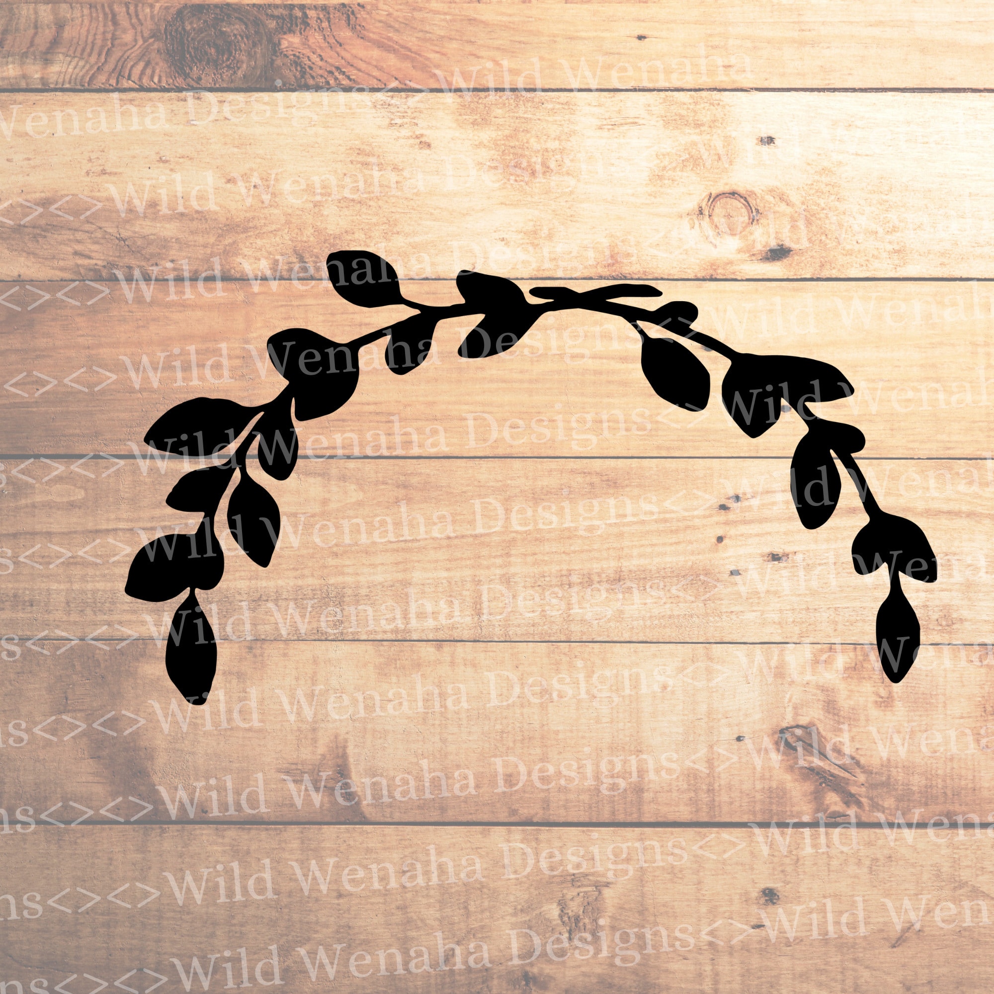 Frame Svg Botanical Borders Bundle Eucalyptus Frame Png Floral Border ...