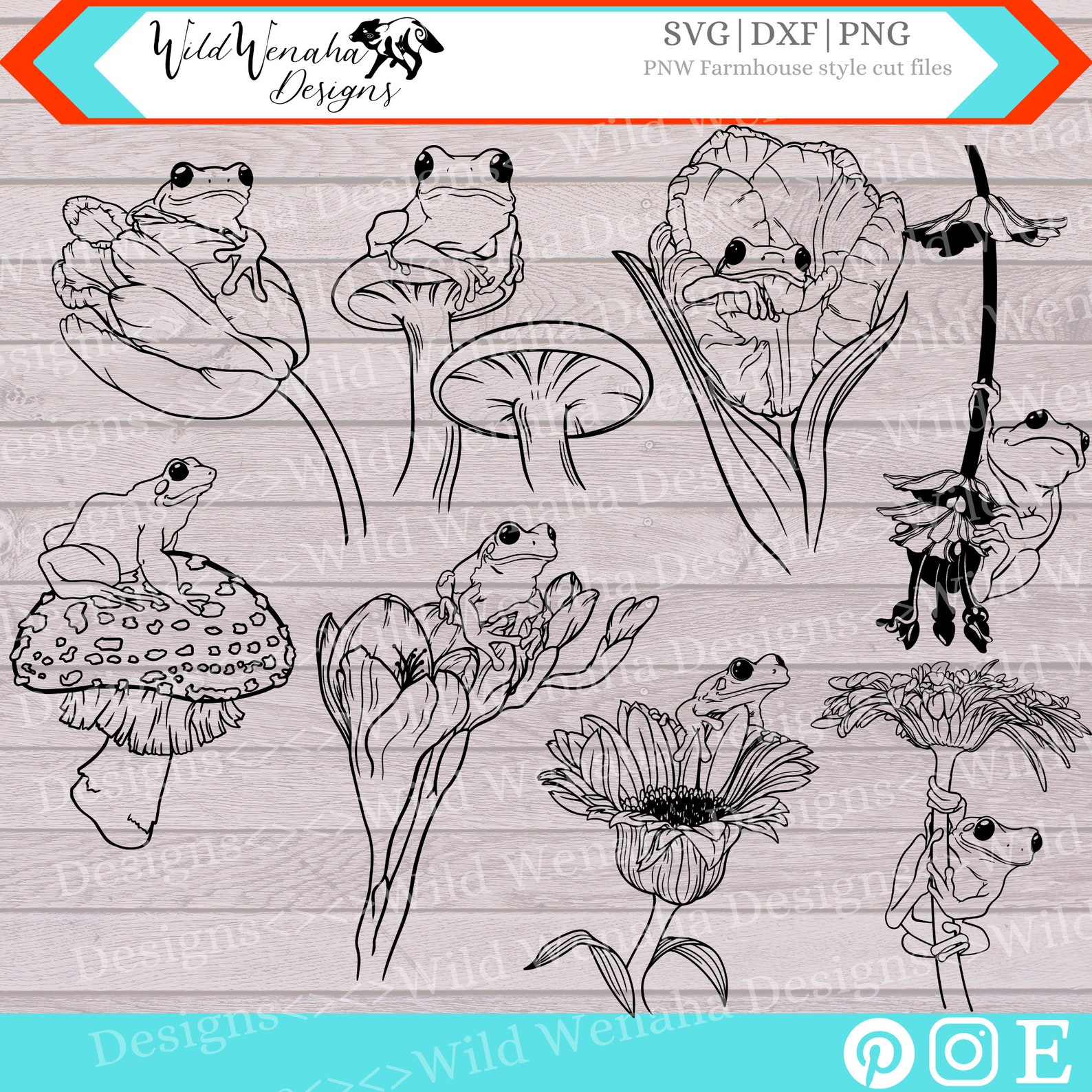 Frog SVG Bundle, Design Bundle, Spring SVG, Frog PNG, Flower Svg, Cut ...