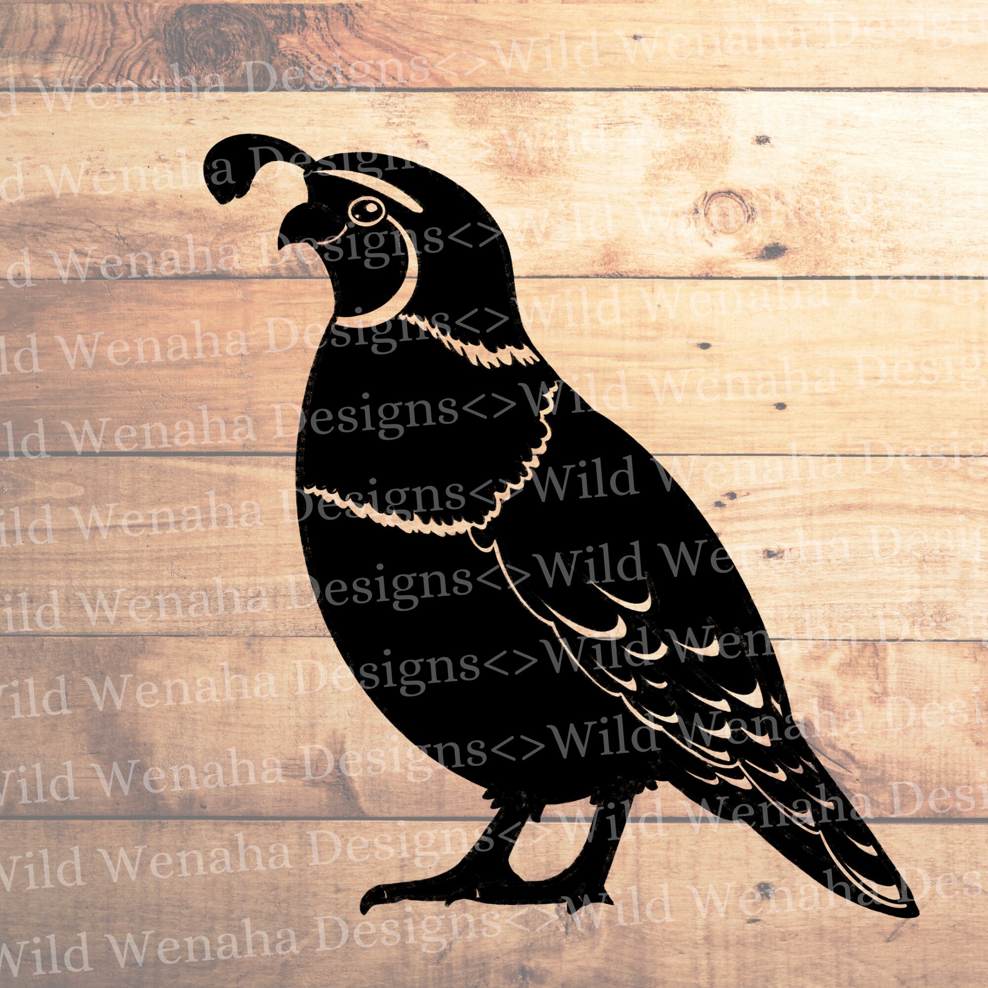 Quail Clipart- SVG - PNG - DXF - California Quail - Clipart - Quail ...