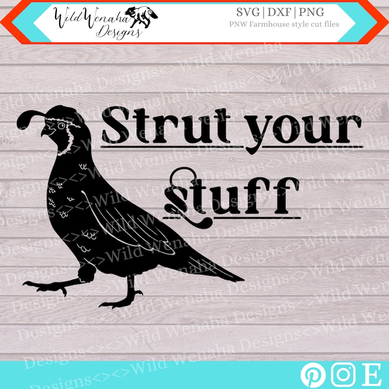 Strut Your Stuff Quail SVG - PNG - DXF - California Quail - Clipart ...