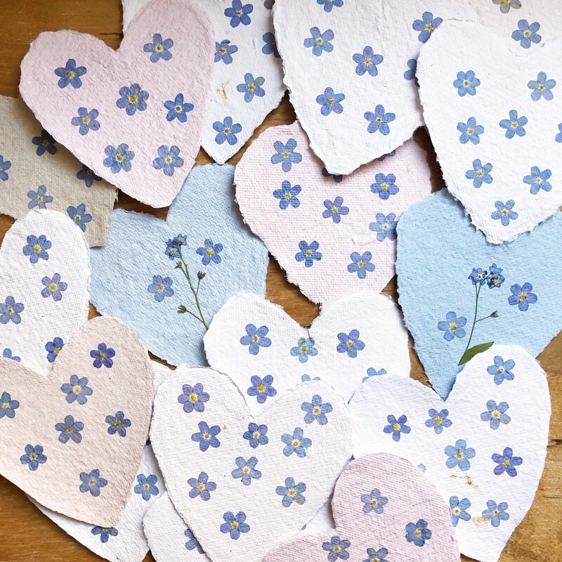 Forget Me Nots - Etsy