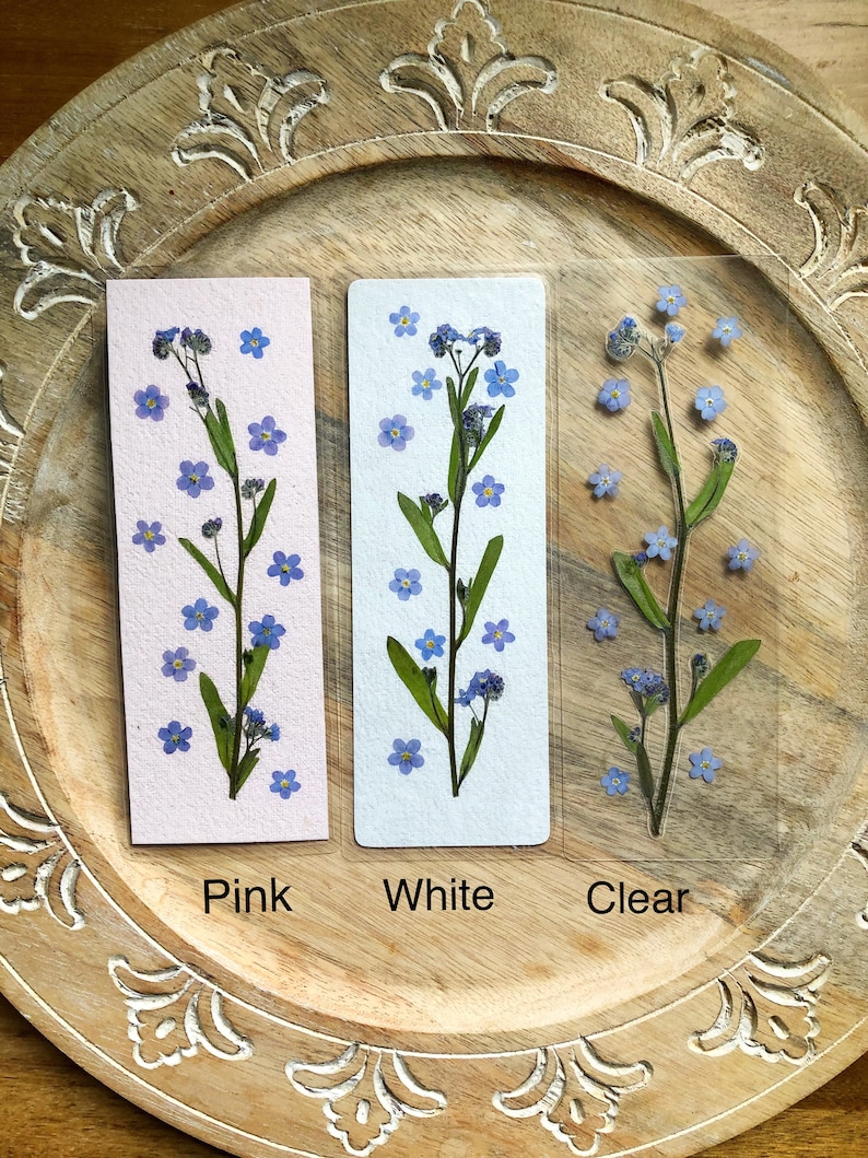 Real Forget Me Nots Laminated Bookmarks - Etsy