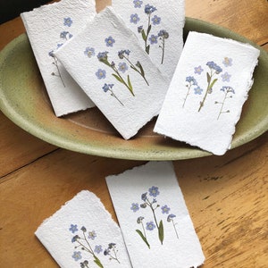 Set of 2 Real Pressed Forget Me Not Cards - Etsy