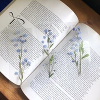 Forget Me Nots - Etsy