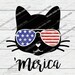Merica Cat Svg, 4th of July Svg,cat Svg,4th of July Cat Svg,american ...