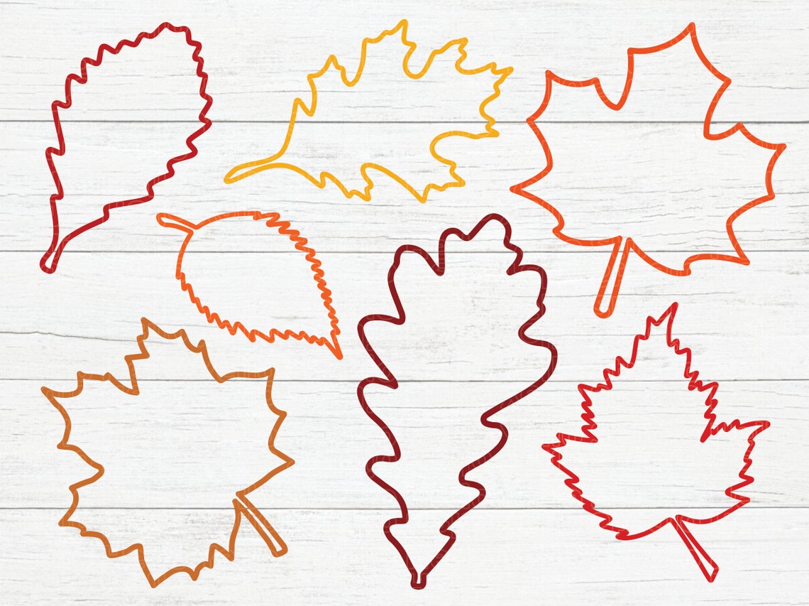 Fall Leaves Svg Fall Svg Fall Leaf Svg Bundle Fall Png - Etsy
