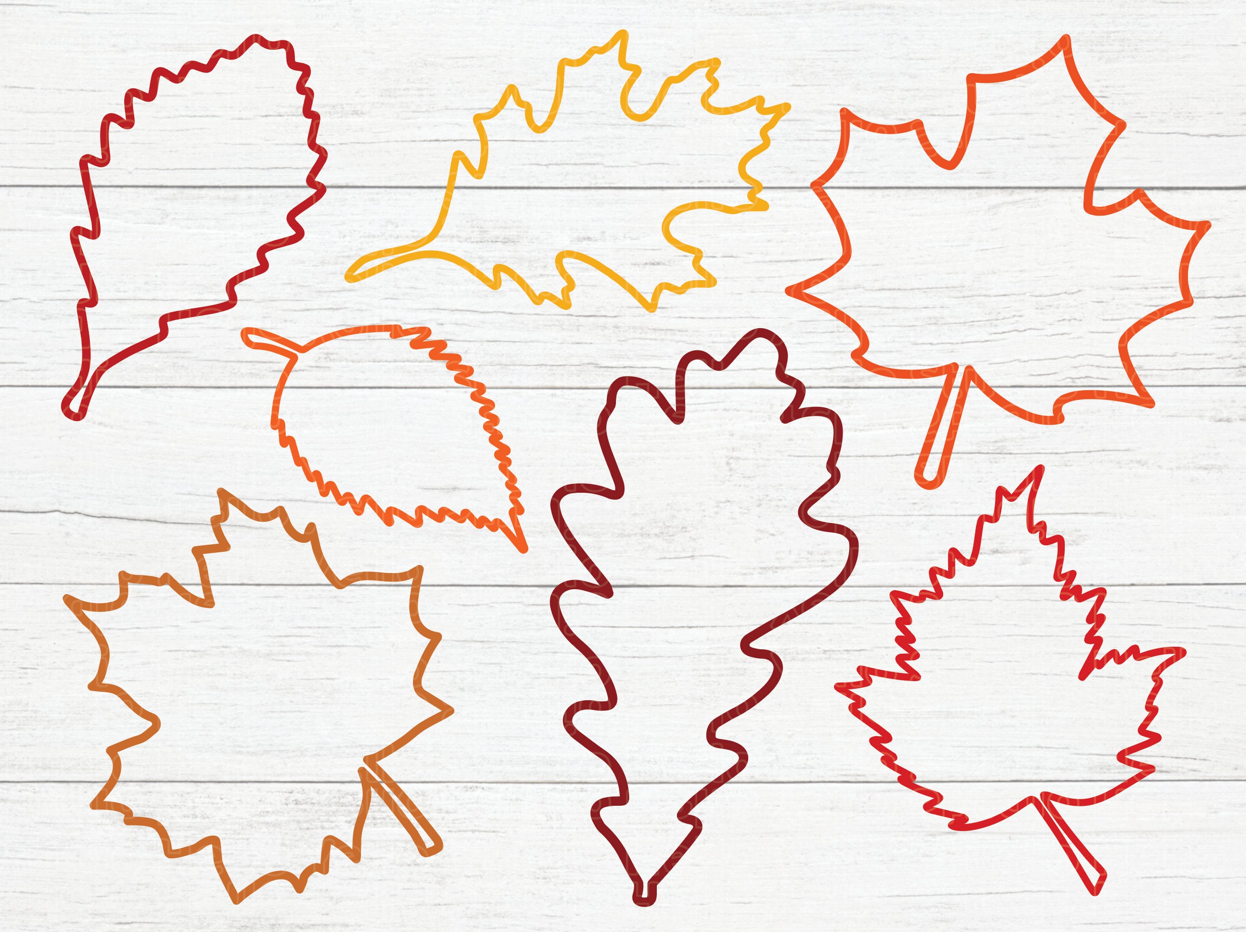 Fall Leaf Clip Art Outline