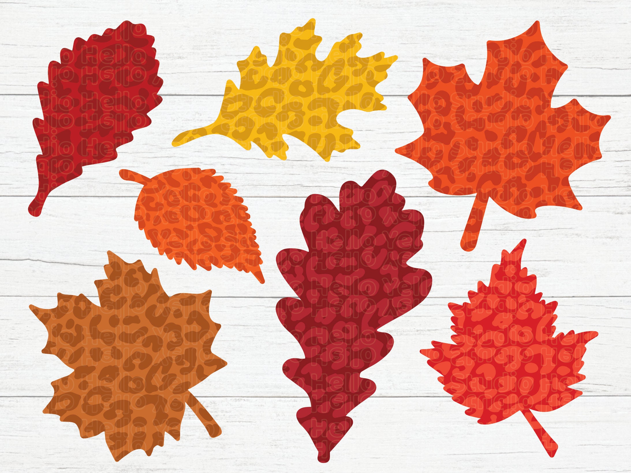 Fall Leaves Svg Fall Svg Fall Leaf Svg Bundle Fall Png - Etsy Canada