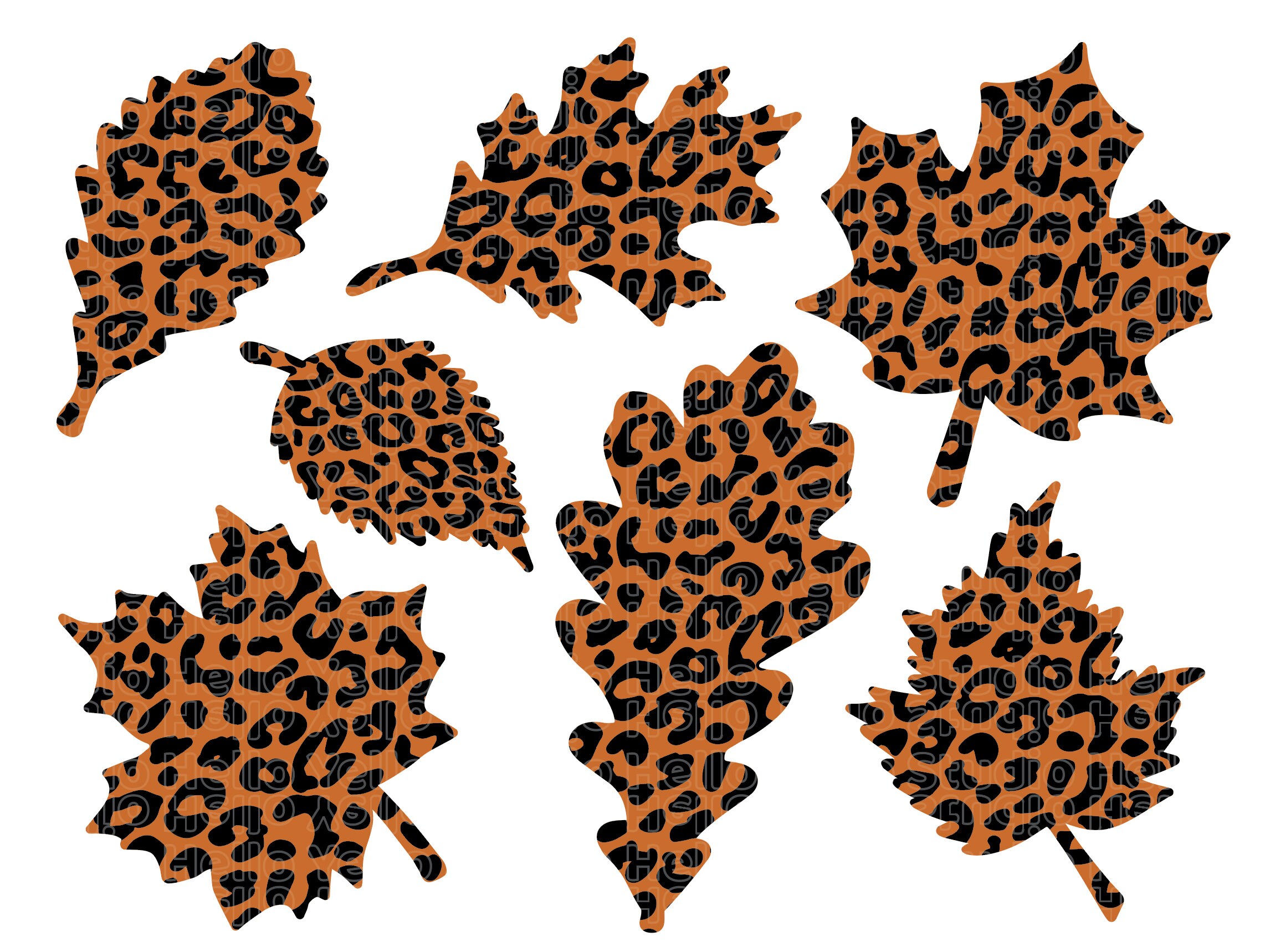 Fall Leaves Svg Fall Svg Fall Leaf Svg Bundle Fall Png | Etsy