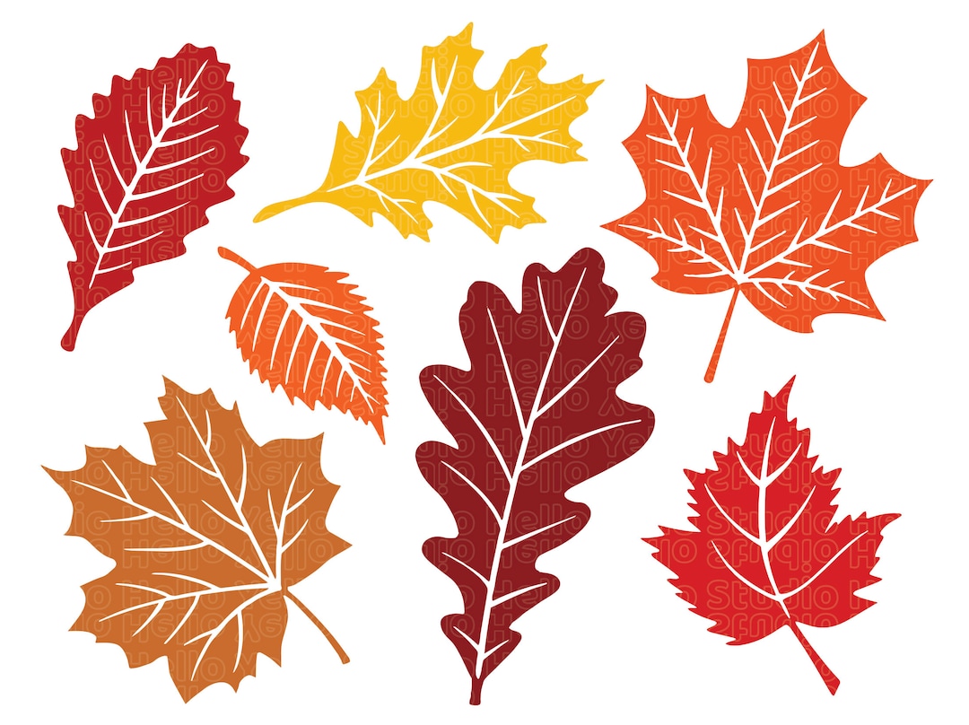 Fall Leaves Svg, Fall Svg, Fall Leaf Svg Bundle, Fall Png, Dxf, Clipart ...