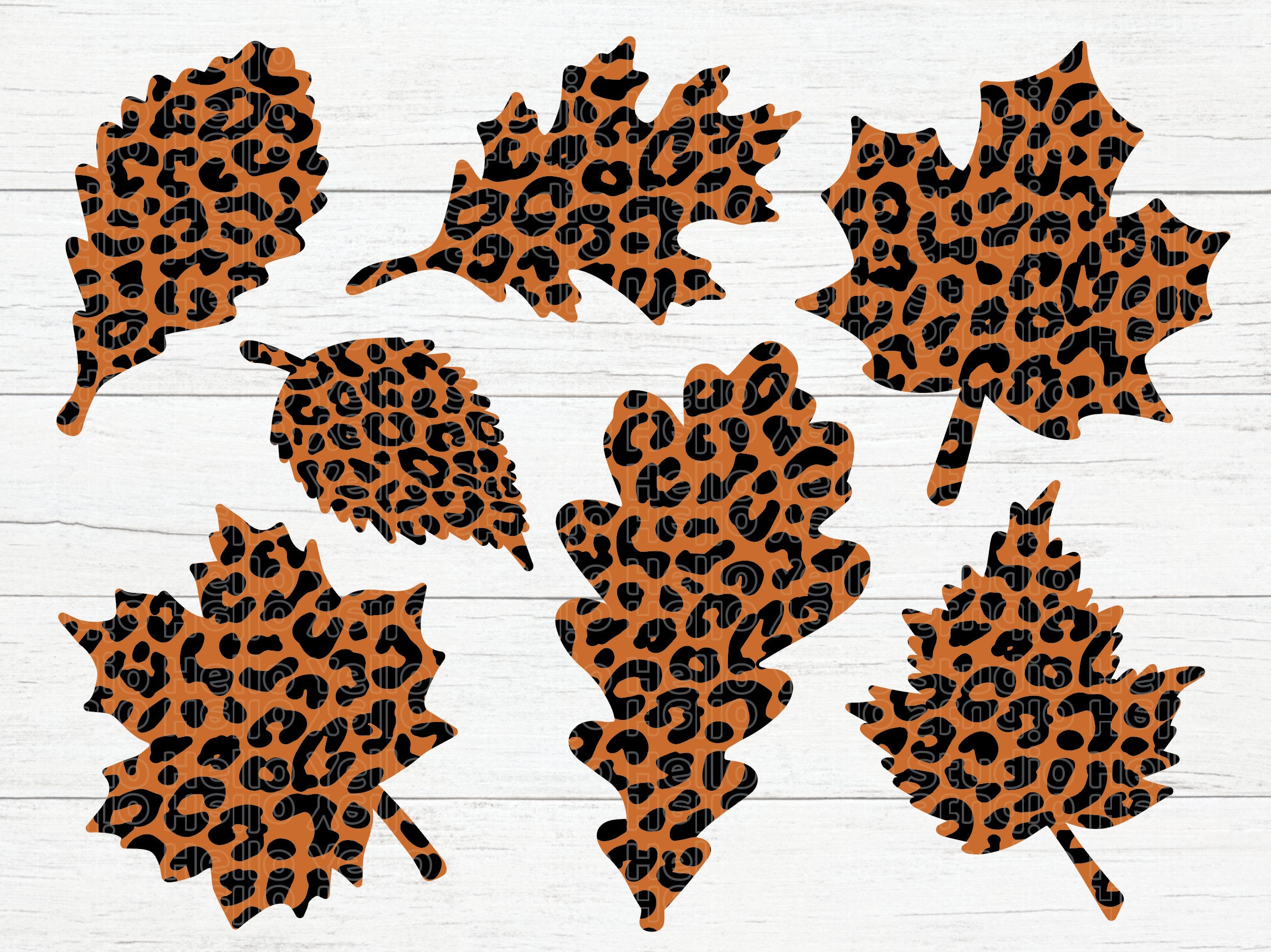 Fall Leaves Svg Fall Svg Fall Leaf Svg Bundle Fall Png | Etsy