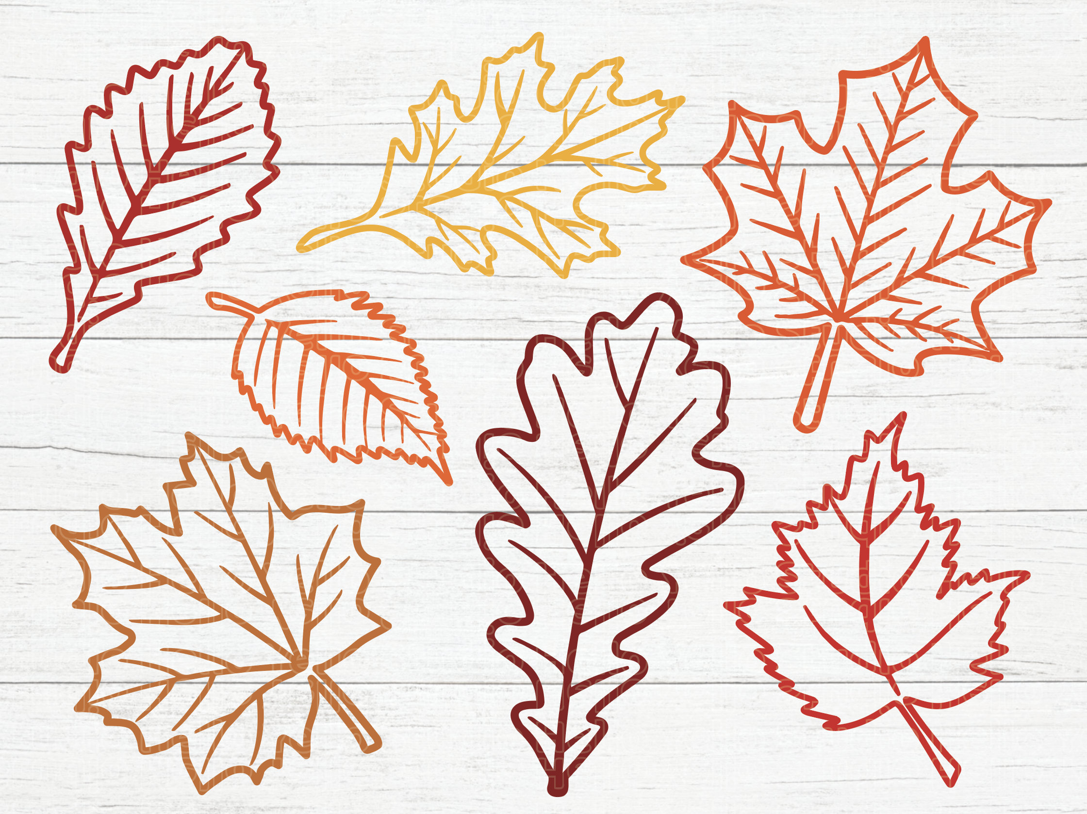 Fall Leaves Svg, Fall Svg, Fall Leaf Svg Bundle, Fall Png, Dxf, Clipart ...
