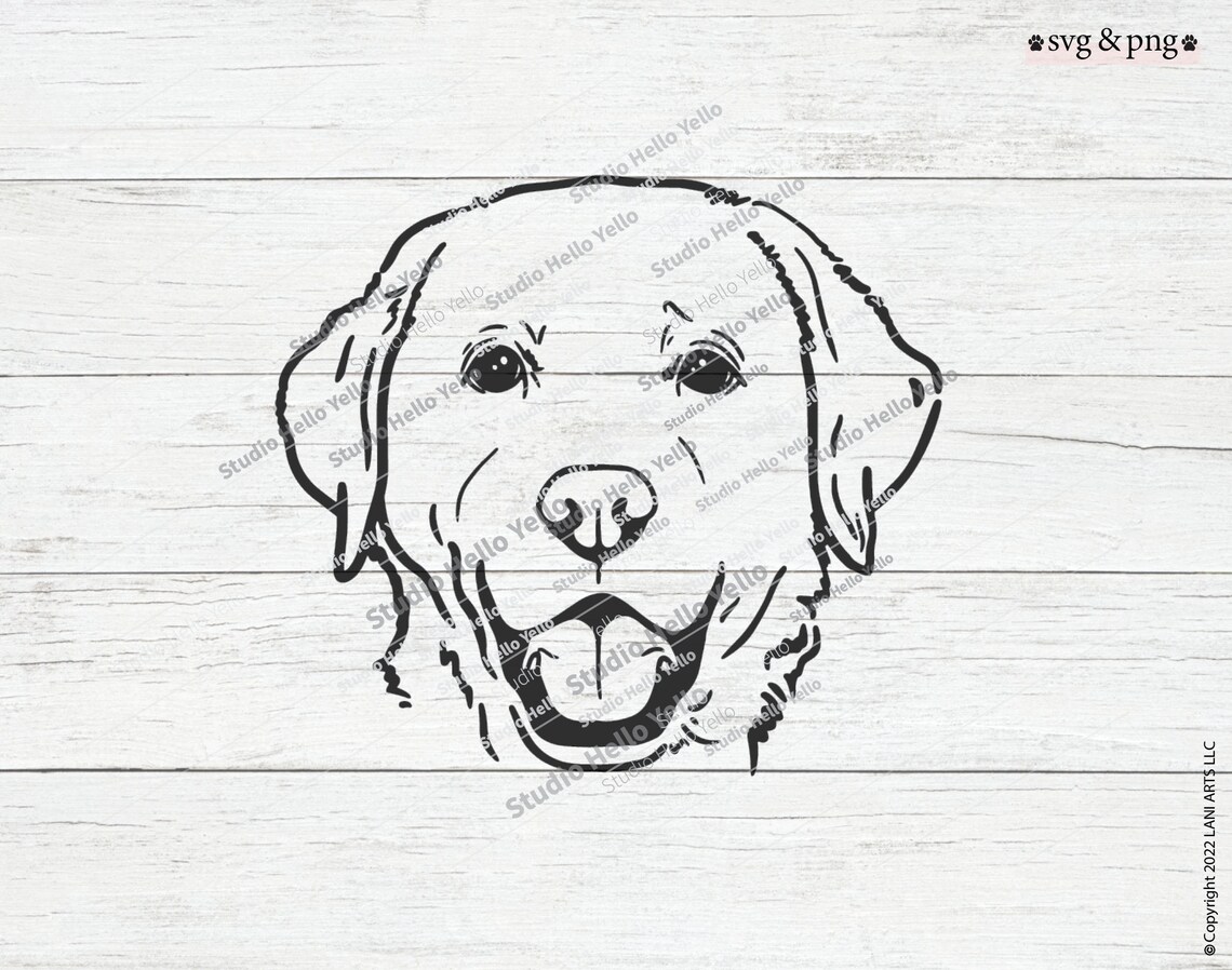Labrador Retriever Svg Labrador Svg Labrador Dog Svg Dog - Etsy