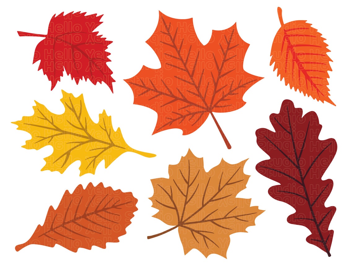 Fall Leaves Svg, Fall Svg, Fall Leaf Svg Bundle, Fall Png, Dxf, Clipart ...