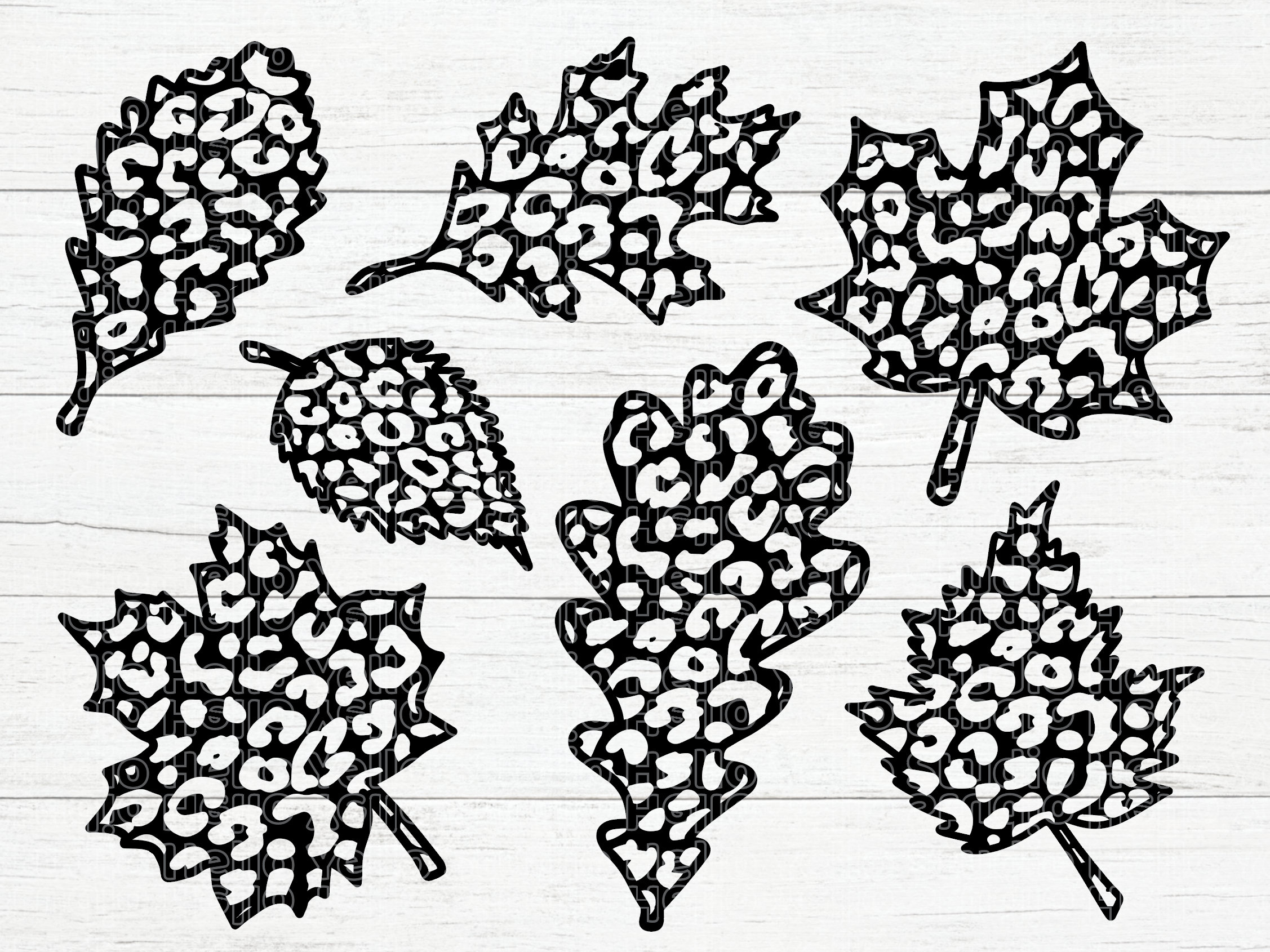 Fall Leaves Svg Fall Svg Fall Leaf Svg Bundle Fall Png - Etsy