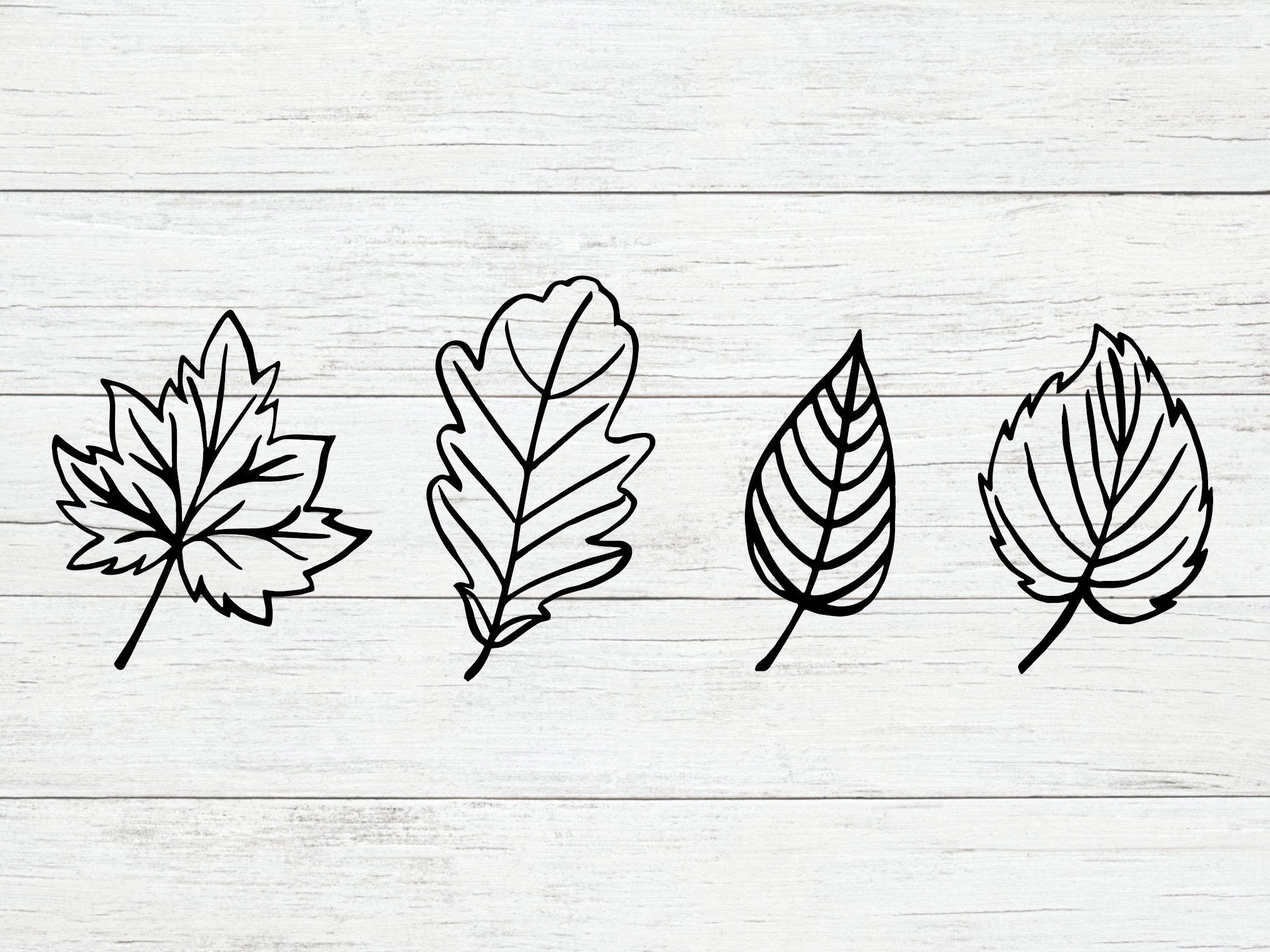 Fall Leaves Svg Fall Svg Autumn Leaves Svg Fall Leaf Svg | Etsy