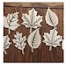 Fall Leaves Svg, Fall Svg, Fall Leaf Svg Bundle, Fall Png, Dxf, Clipart ...