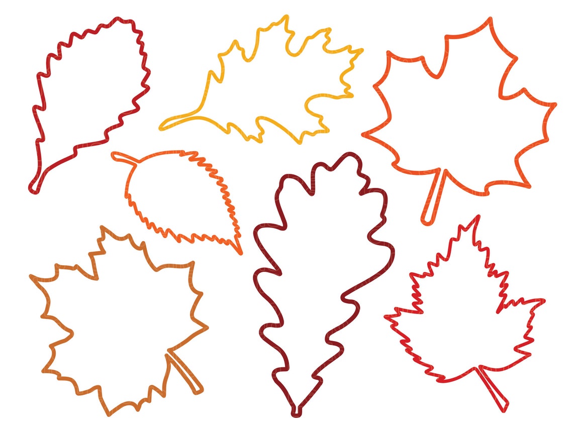 Fall Leaves Svg Fall Svg Fall Leaf Svg Bundle Fall Png - Etsy