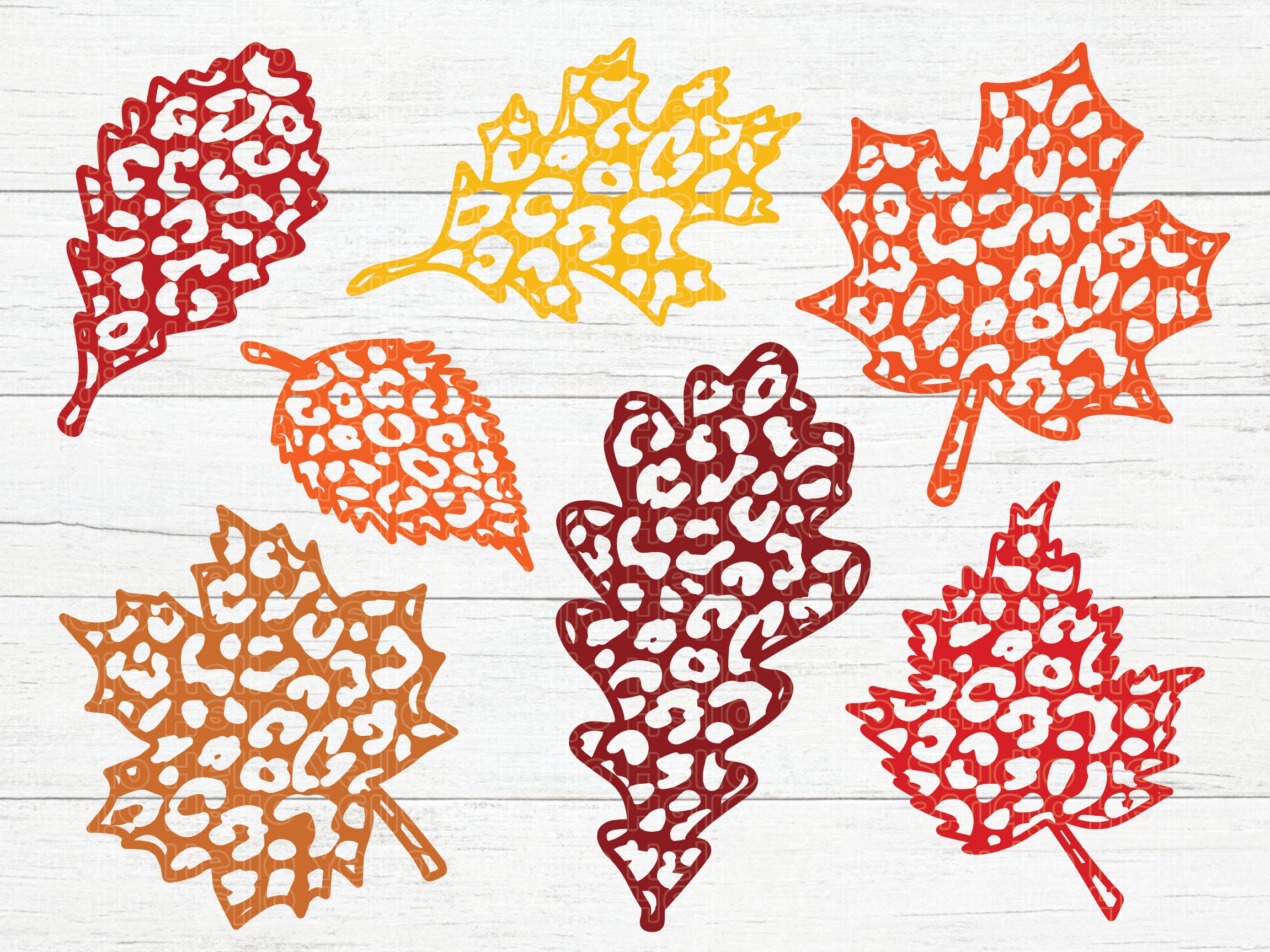 Fall Leaves Svg Fall Svg Fall Leaf Svg Bundle Fall Png - Etsy