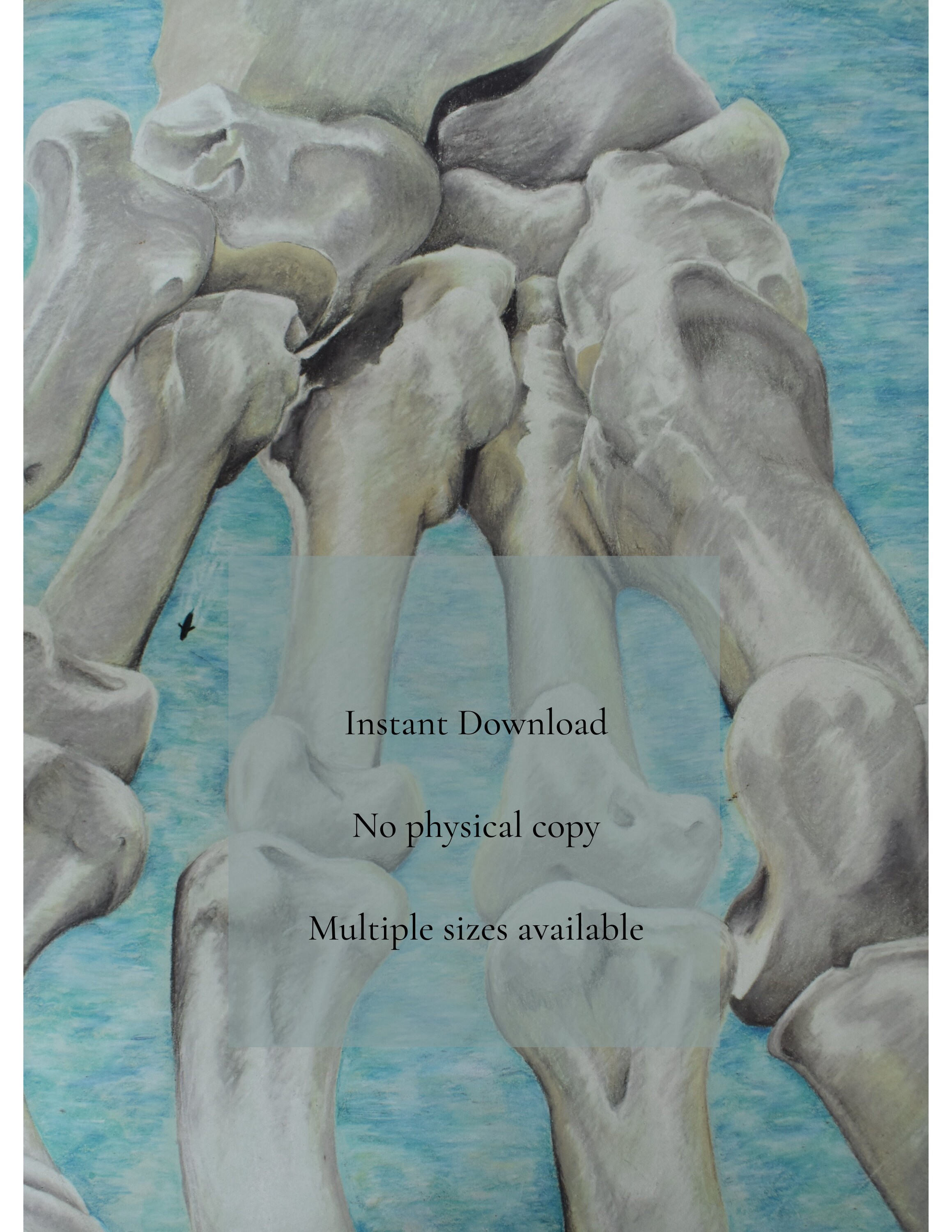 Digital Print of Plantar Aspect of the Bones of the Human Foot PDF ...