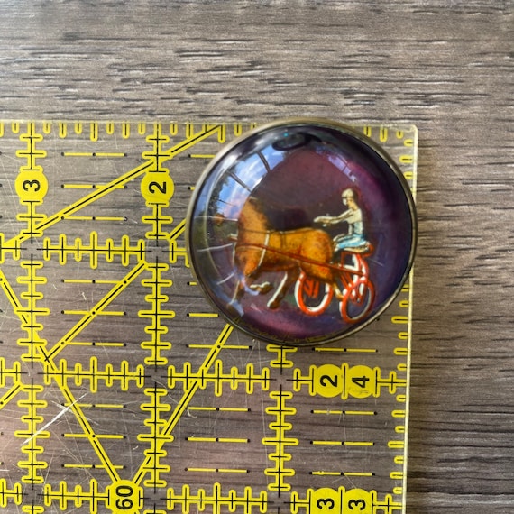 Antique Bridle Rosette Harness Racing Glass Dome Hors… - Gem