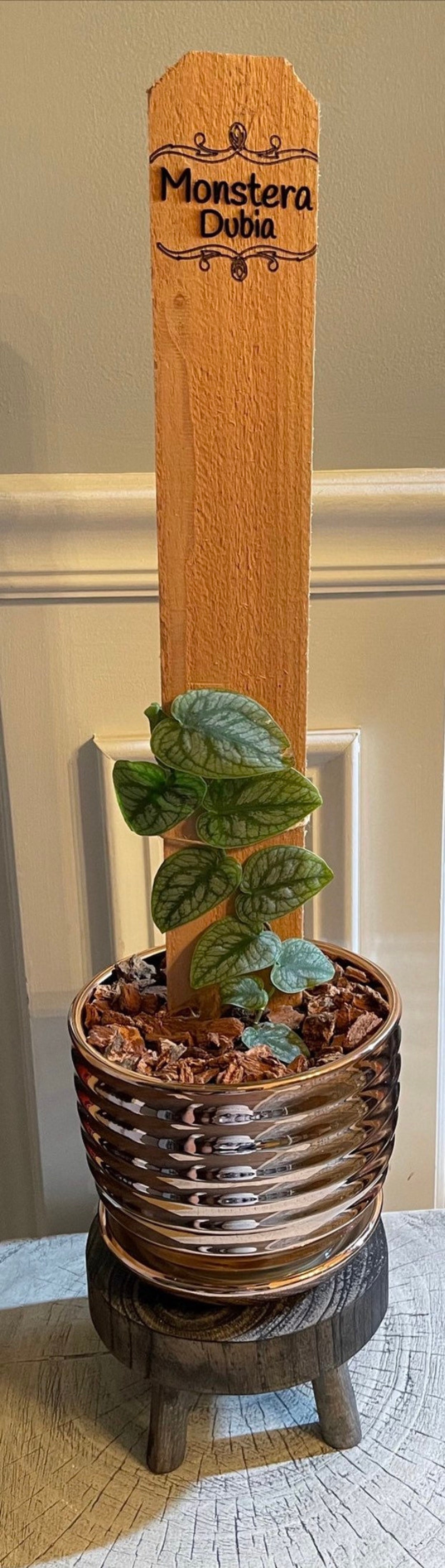 Personalized Cedar Plant Shingle: Engraved Plant Trellis Stake - Etsy