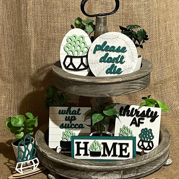 Succulent Decor - Etsy