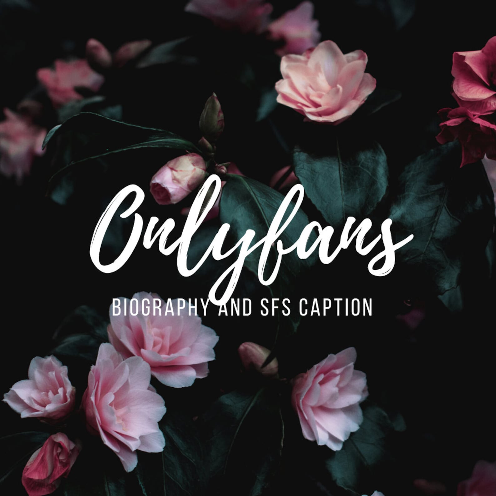Custom Onlyfans Bio and Sfs Caption - Etsy