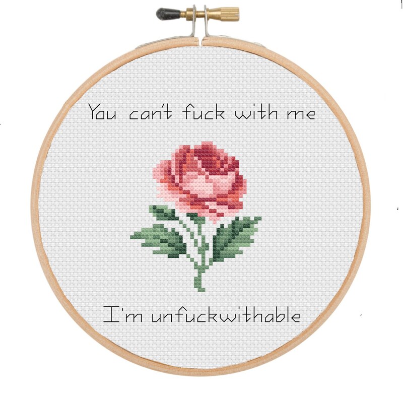 Profane Cross Stitch - Etsy