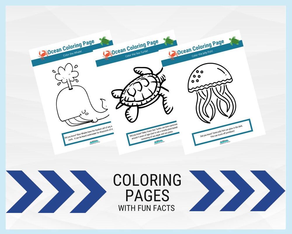 Sea Animals Coloring Pages, Kids Travel Activity Pack, Road Trip ...
