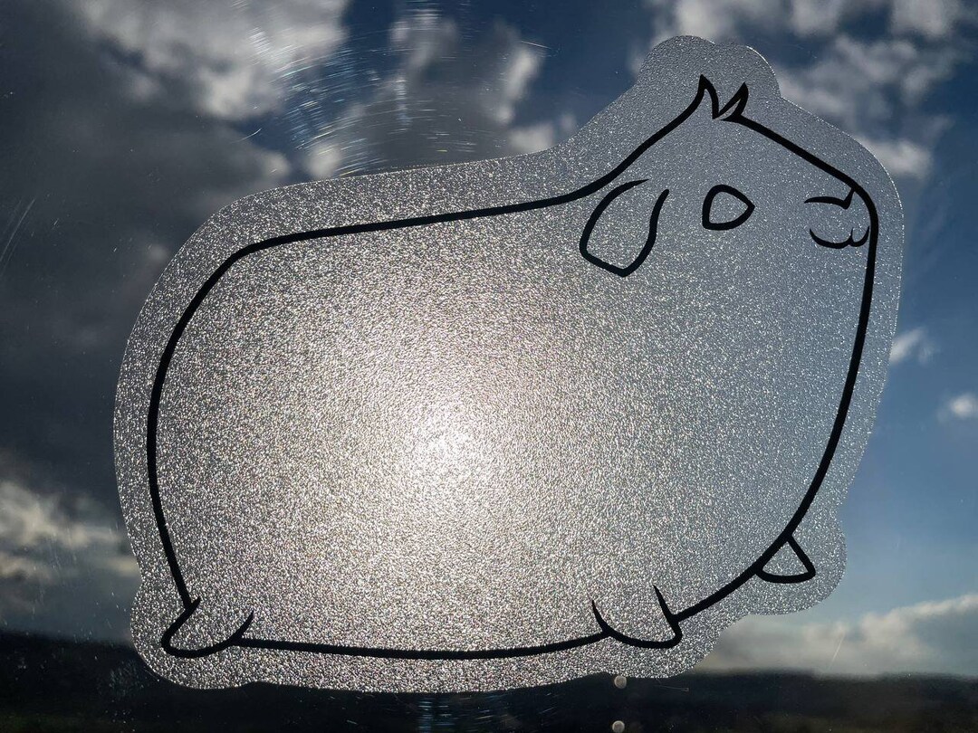 Guinea Pig Window Picture Frost Suncatcher Window Sticker - Etsy