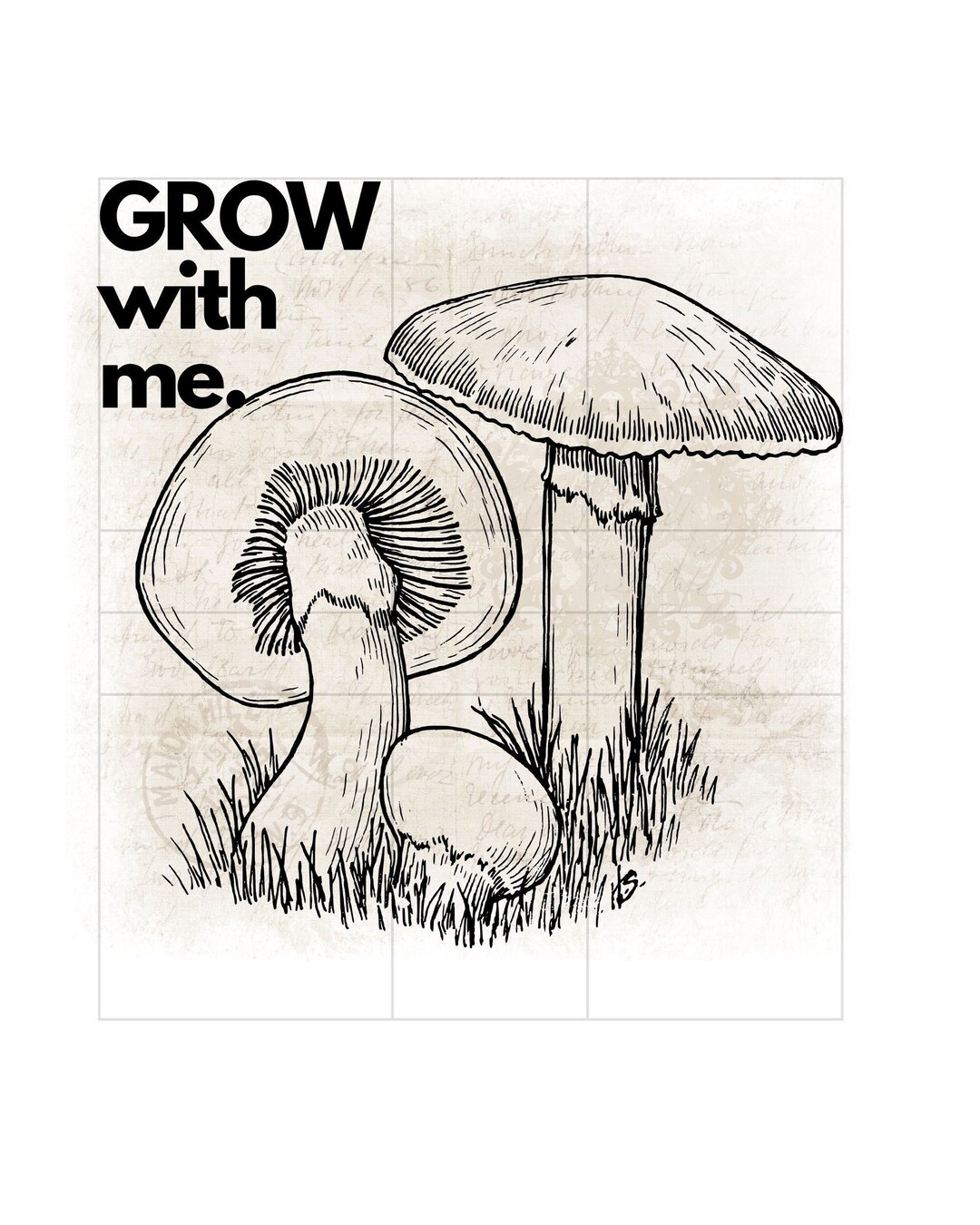 Mushroom Png, Sublimation Design Download, Mushroom Clipart, Mushrooms ...