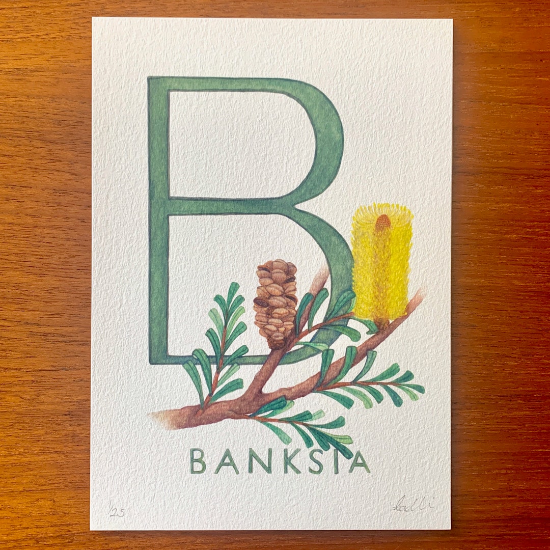 B for Banksia, 2021 Giclée Print - Etsy UK