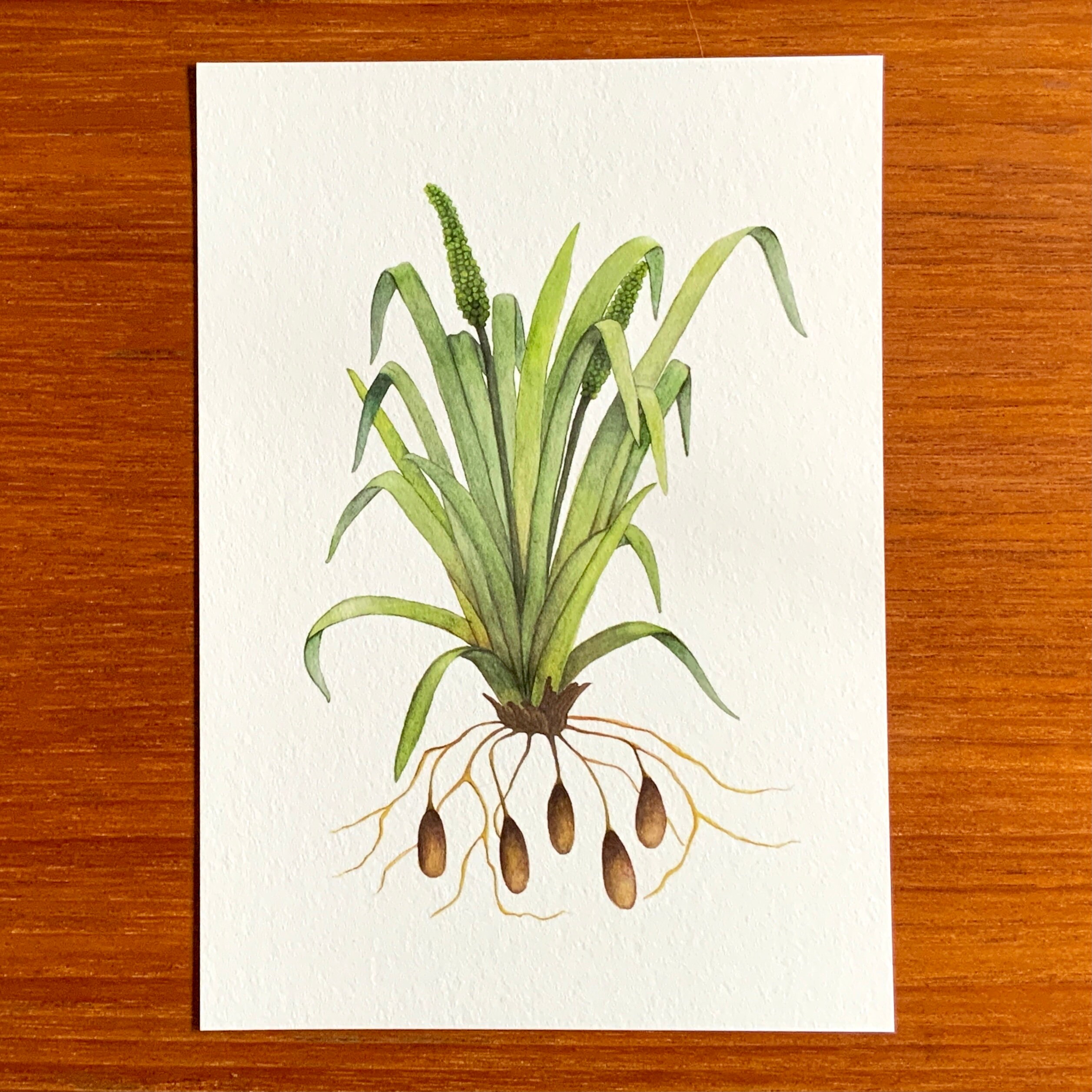 Water Ribbons 2019 Giclée Print - Etsy UK