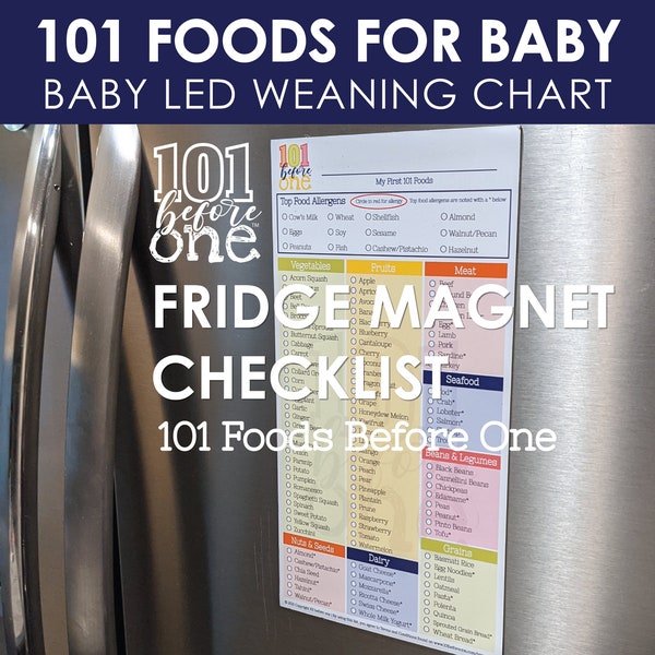 101 Baby Food Checklist - Etsy