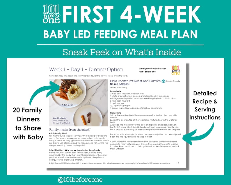 Baby-led Weaning First 4-week Meal Plan (PDF Digital Download) - Etsy