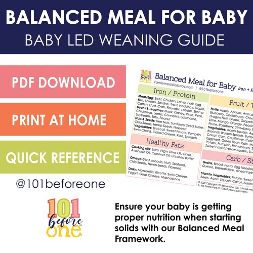 101 Food Checklist PDF Download for Baby Led Weaning From 101 - Etsy